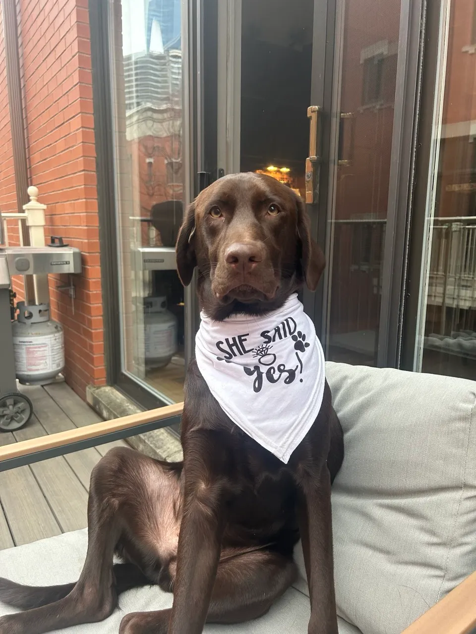 Rachel & Jeremy's Wedding | December 14th, 2024